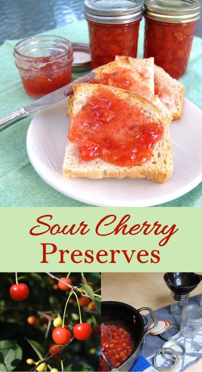 Sour Cherry Preserves - Baking Sense®