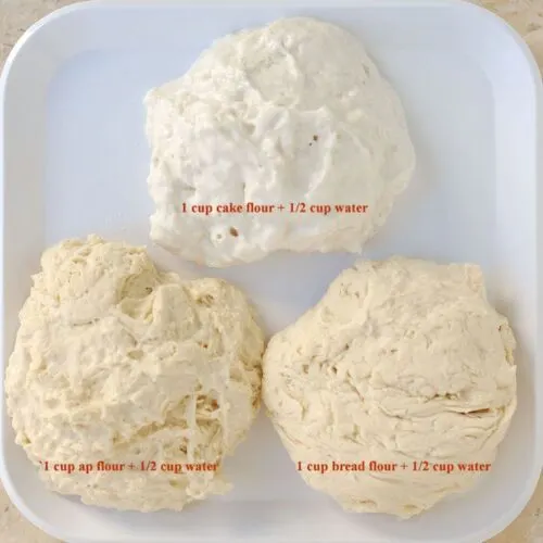 Flour in Baking | Understanding Protein, Gluten & Structure