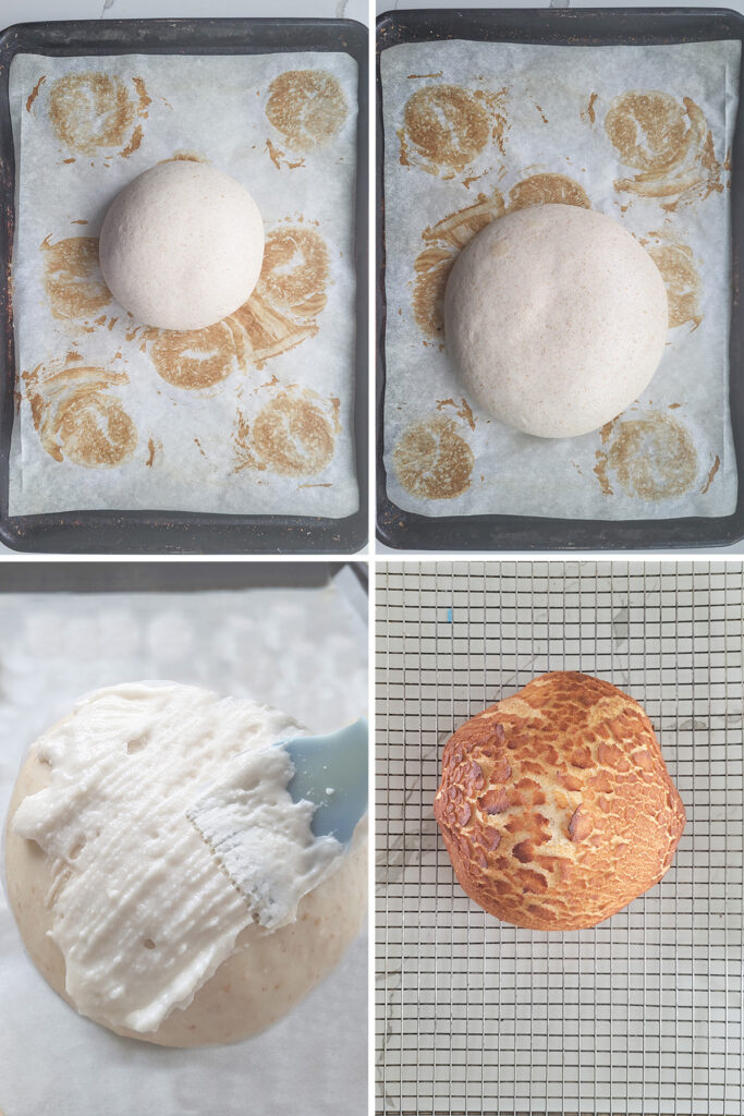 Dutch Crunch Bread aka Tiger Bread - Baking Sense®