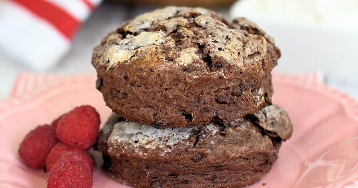 Chocolate Shortcake Biscuits - Baking Sense®