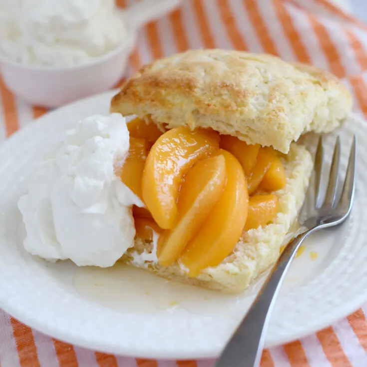 Peach Shortcakes - Baking Sense®