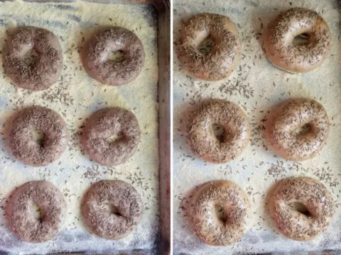 Sourdough Rye Bagels with Caraway Seeds - Baking Sense®