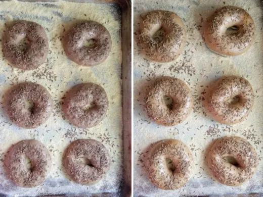 Sourdough Rye Bagels with Caraway Seeds - Baking Sense®