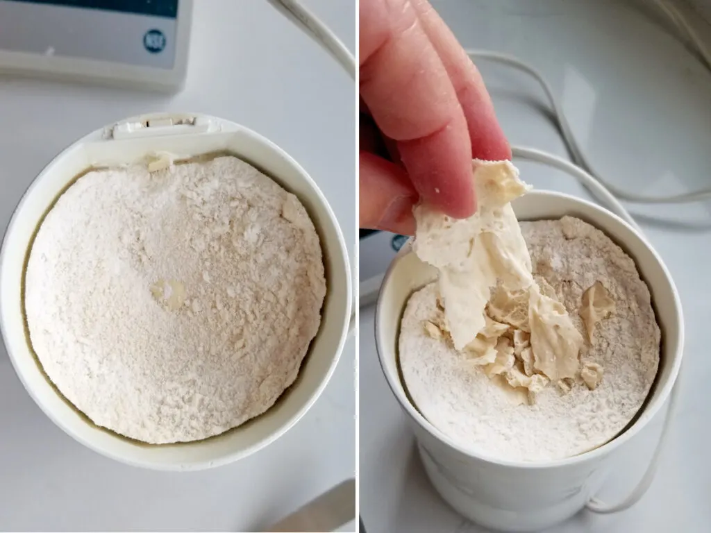 How to make Sourdough Starter Powder - Baking Sense®