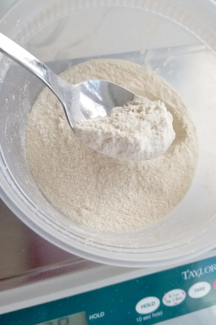 How to make Sourdough Starter Powder - Baking Sense®