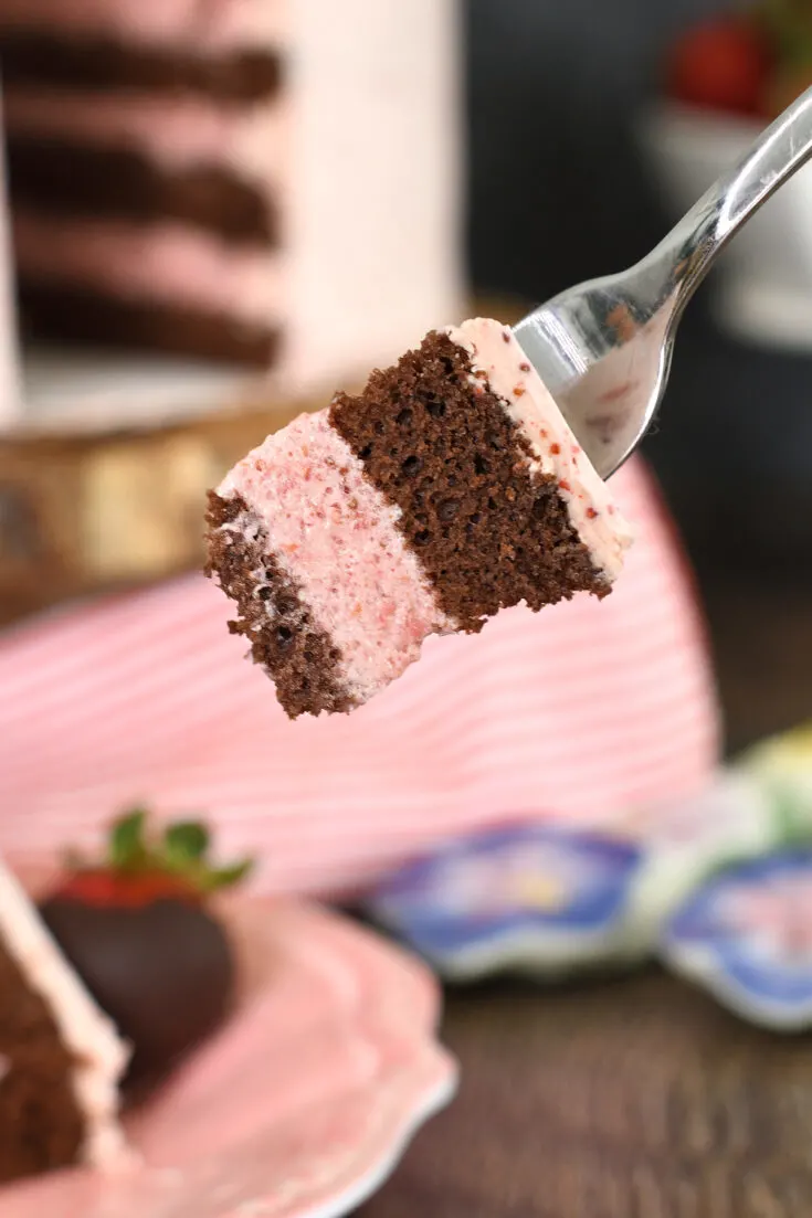 Chocolate Cake with Strawberry Mousse FIlling - Baking Sense®