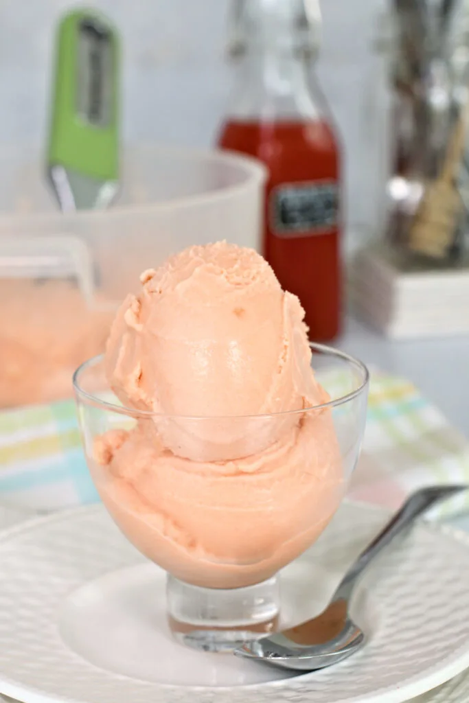 Rhubarb Ice Cream - Baking Sense®