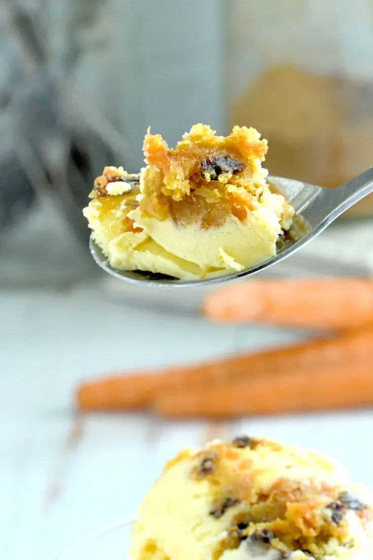 Carrot Cake Ice Cream - Baking Sense®