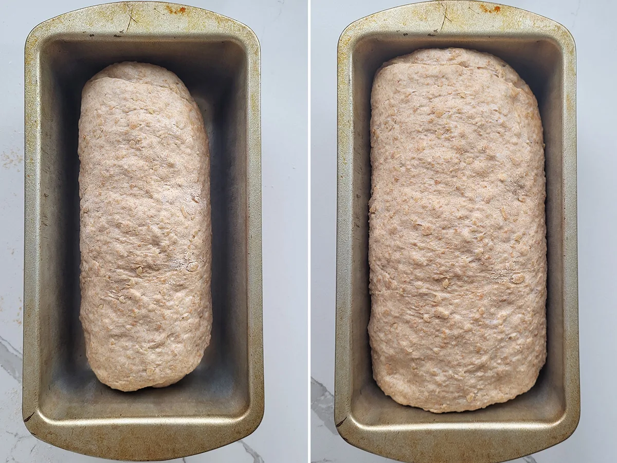 Multigrain Bread - Baking Sense®