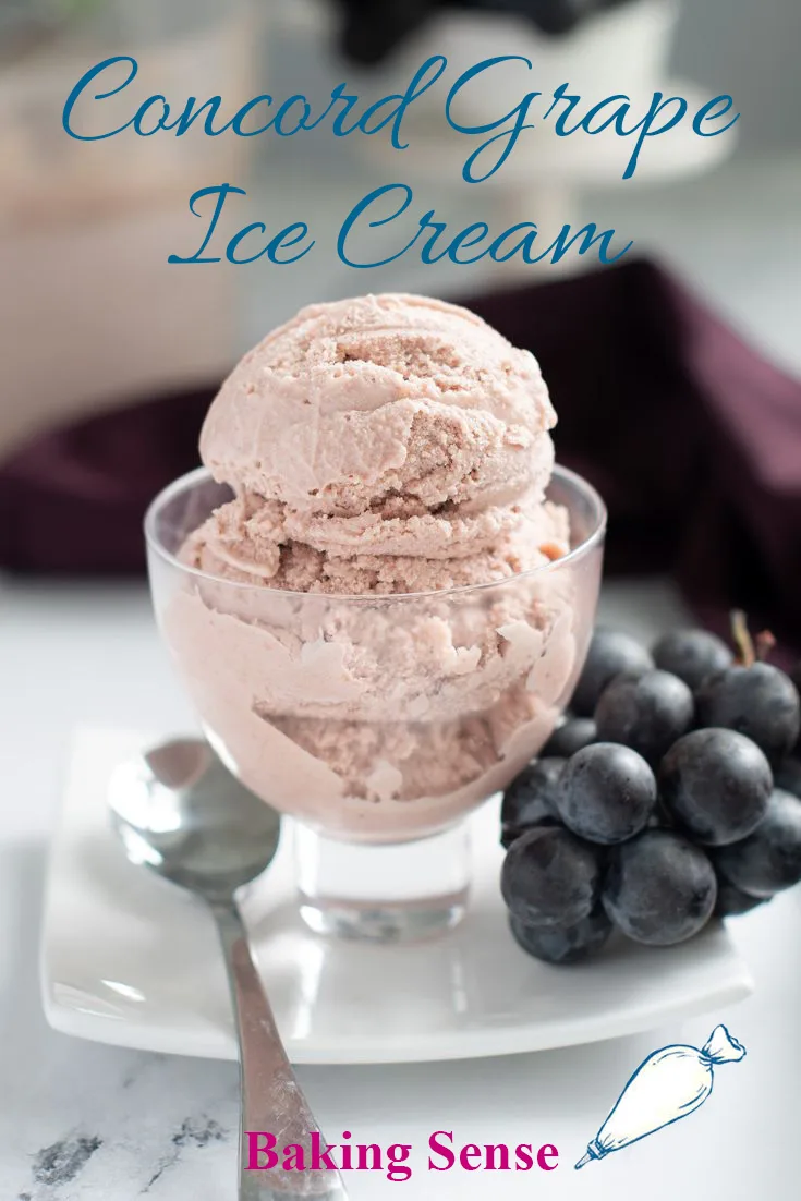 Concord Grape Ice Cream - Baking Sense®