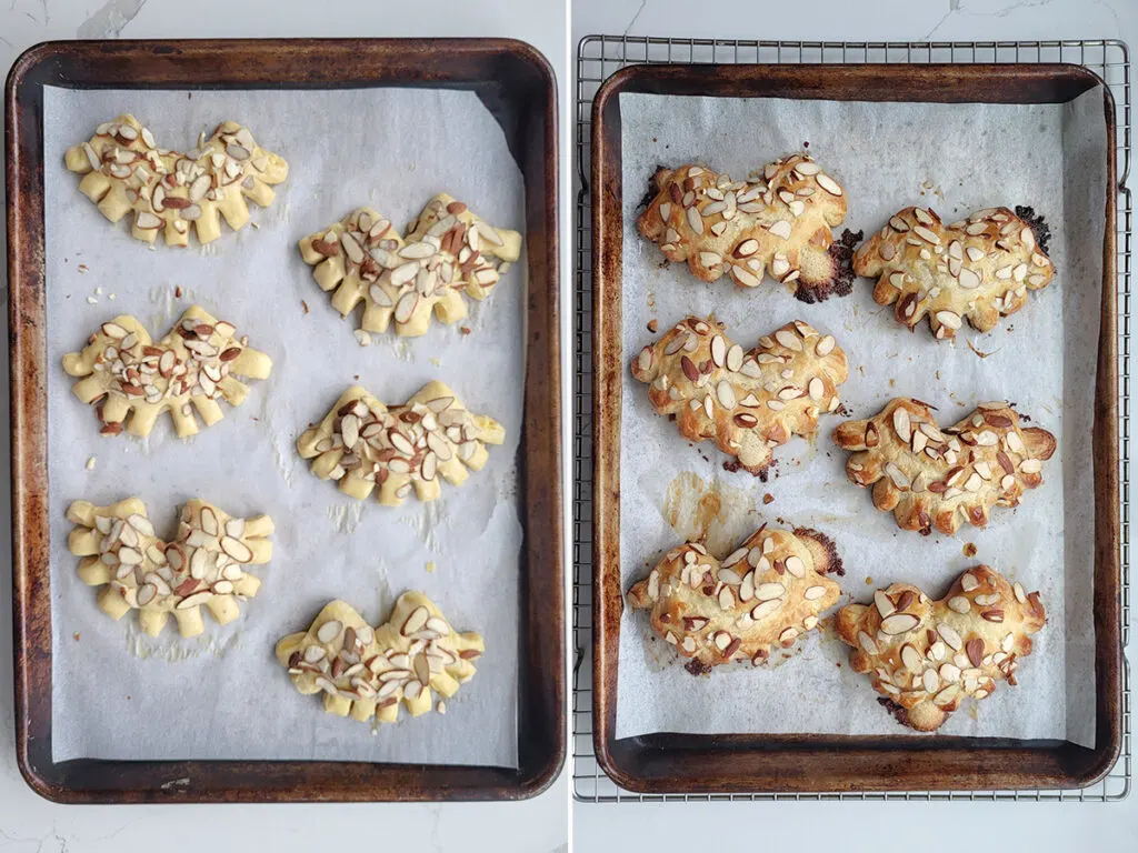 Bear Claw Pastries - Baking Sense®