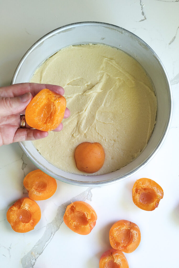 Apricot Cake - Baking Sense®