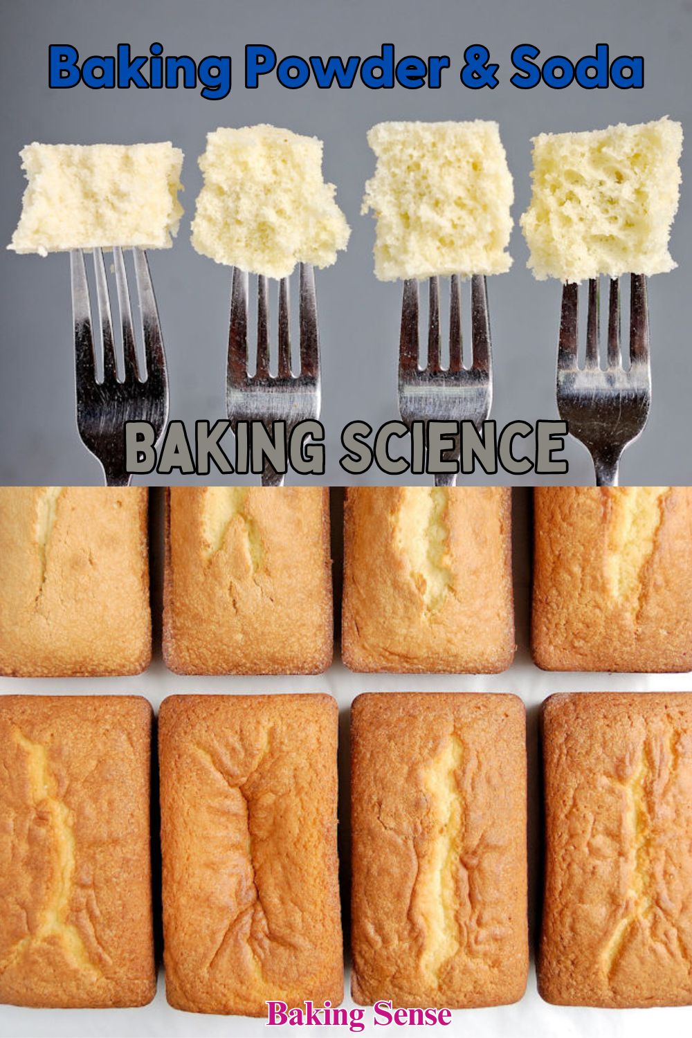 Baking Powder & Baking Soda in Baking | Chemical Leavening Explained