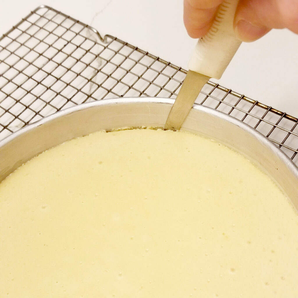 Cheesecake Recipes and Baking Tips – Baking Sense
